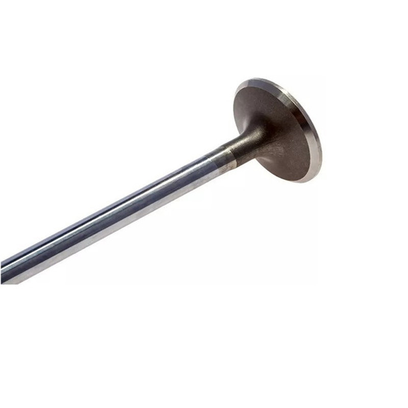 Intake Valves&Exhaust Valves For DAEWOO 90220119