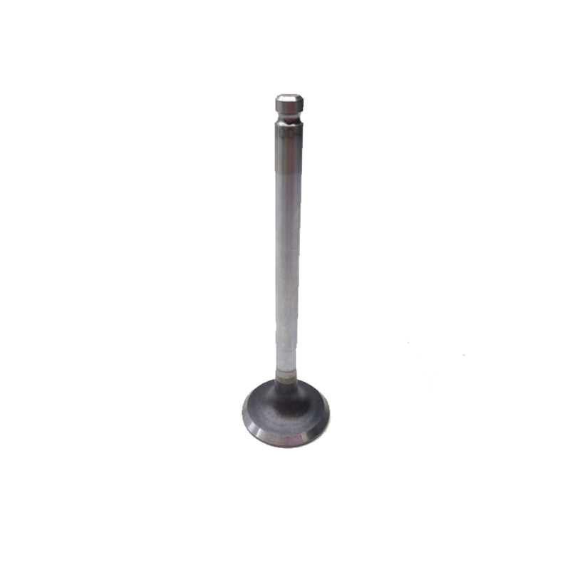 Intake Valves&Exhaust Valves For Fiat 4265695