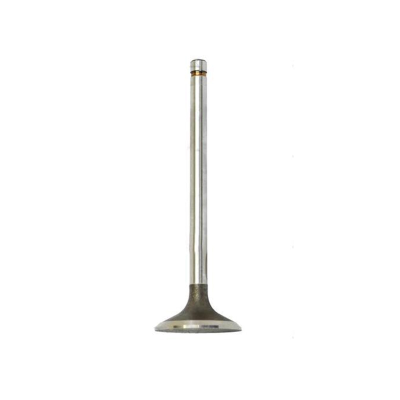 Intake Valves&Exhaust Valves For FORD C5NN6507C