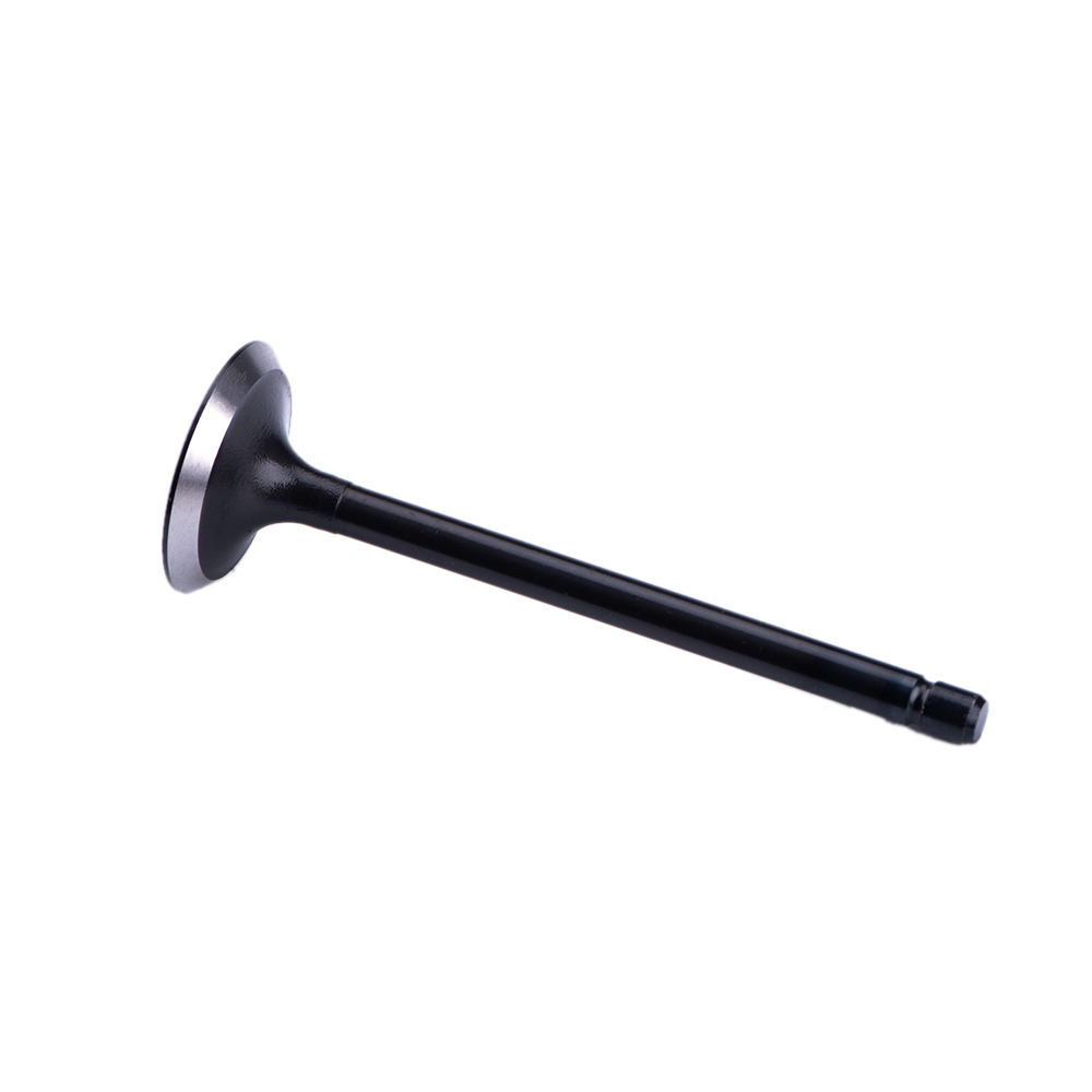 Intake Valves&Exhaust Valves For Mazda SL01-12-111