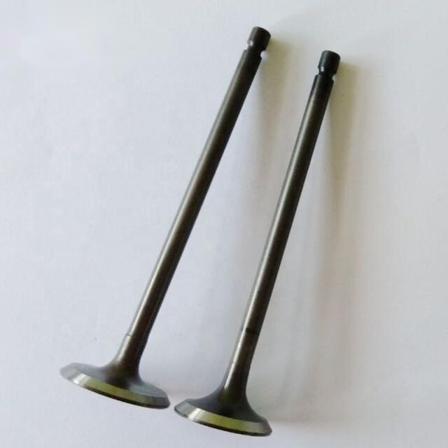 Intake Valves&Exhaust Valves For Mazda WE01-12-111