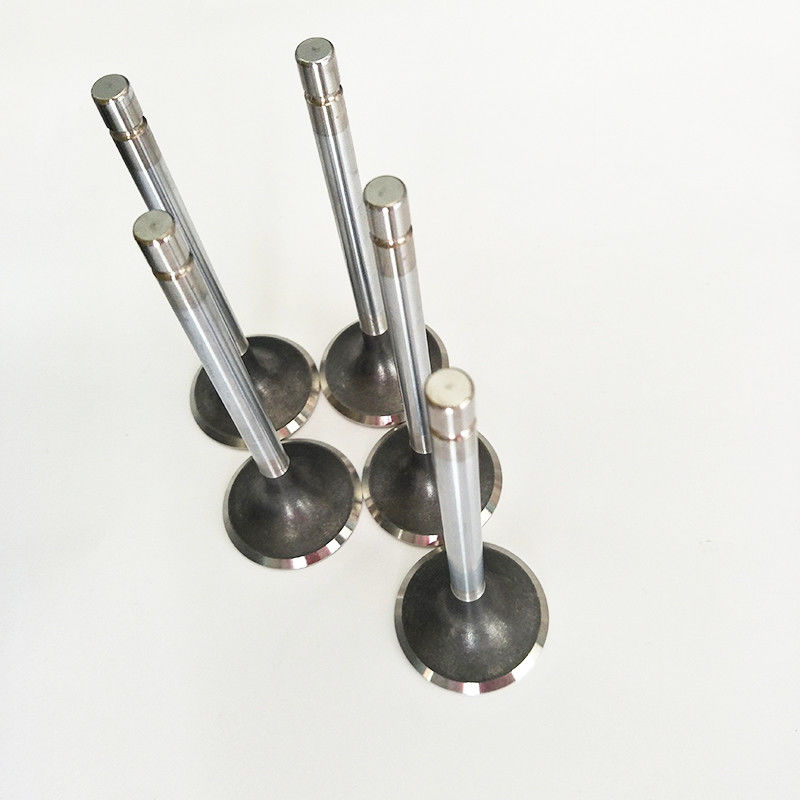 Intake Valves&Exhaust Valves For NISSAN 13202-V0700